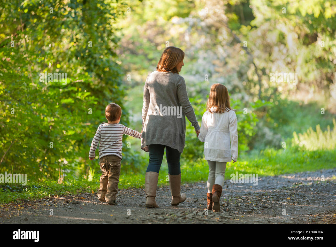 Back view of mother walking with her children on forest track Stock Photo - Alamy