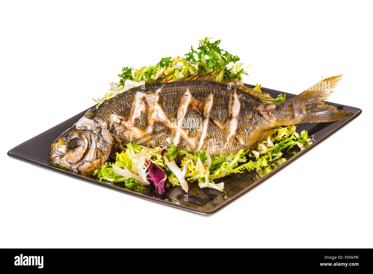Salema porgy - sarpa fish Stock Photo - Alamy
