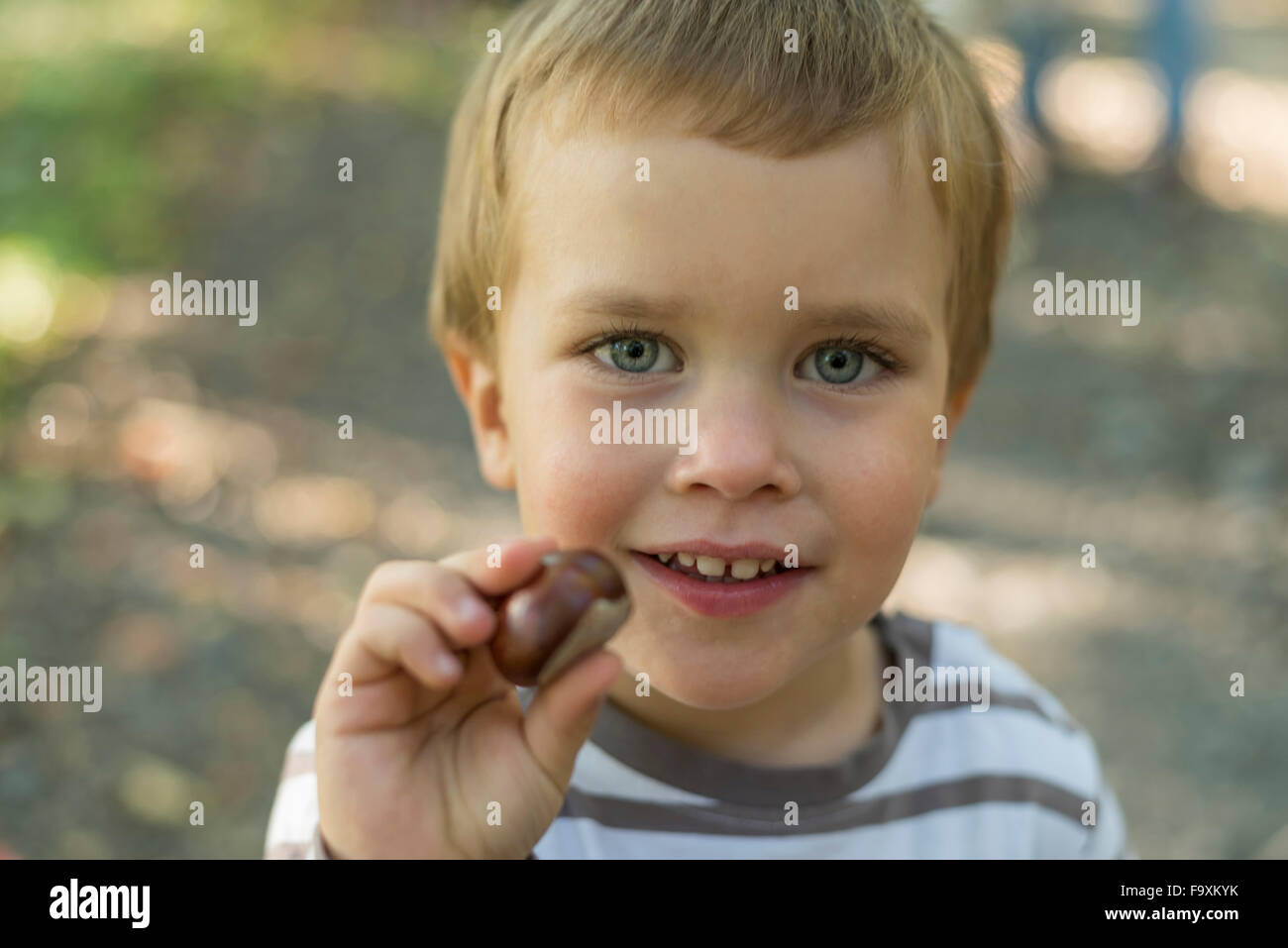 Portrait of little boy showing chestnut Stock Photo - Alamy