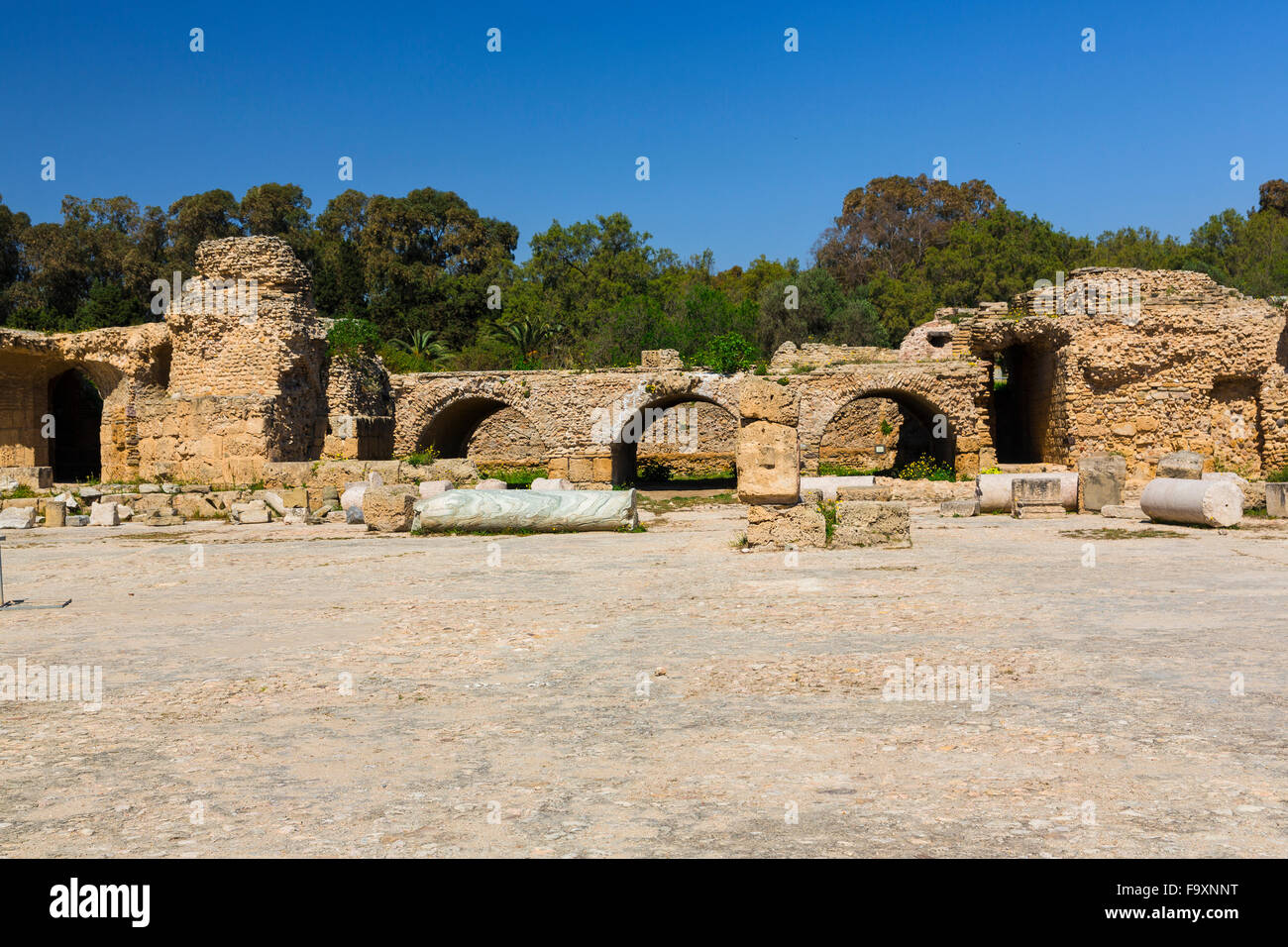 Old Carthage ruins in Tunisia Stock Photo - Alamy