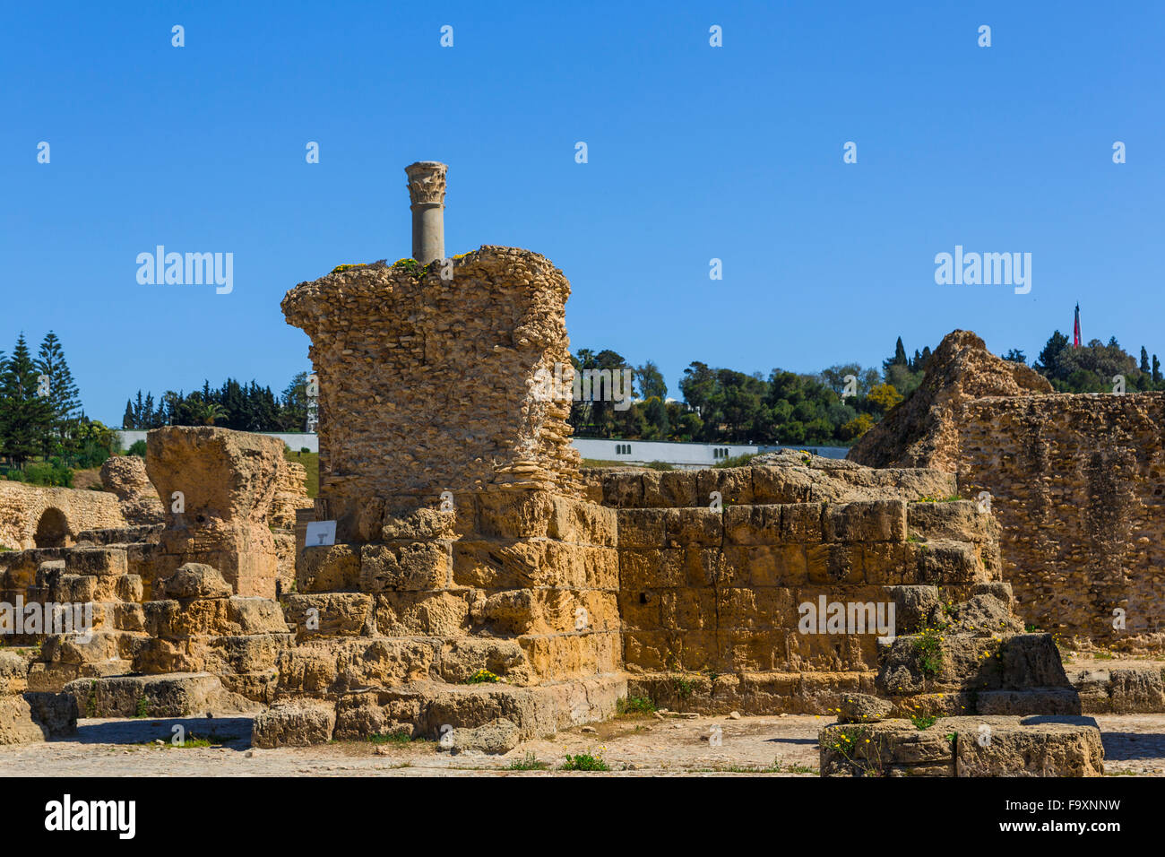 Old Carthage ruins in Tunisia Stock Photo - Alamy