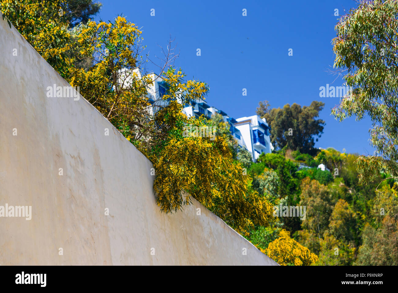 Old arabic town in Tunisia - Sidi Bu Said Stock Photo - Alamy