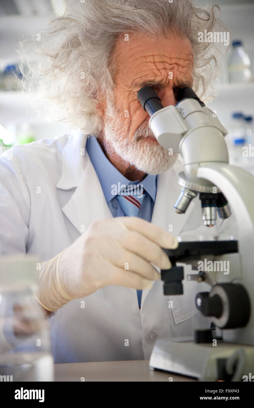 Tousled professor examining samples under microscope Stock Photo - Alamy