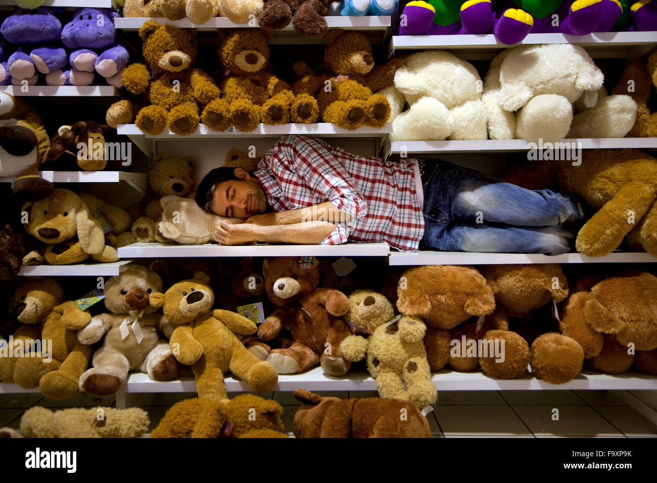 Man sleeping on a shelf between soft toys in a supermarket Stock Photo ...