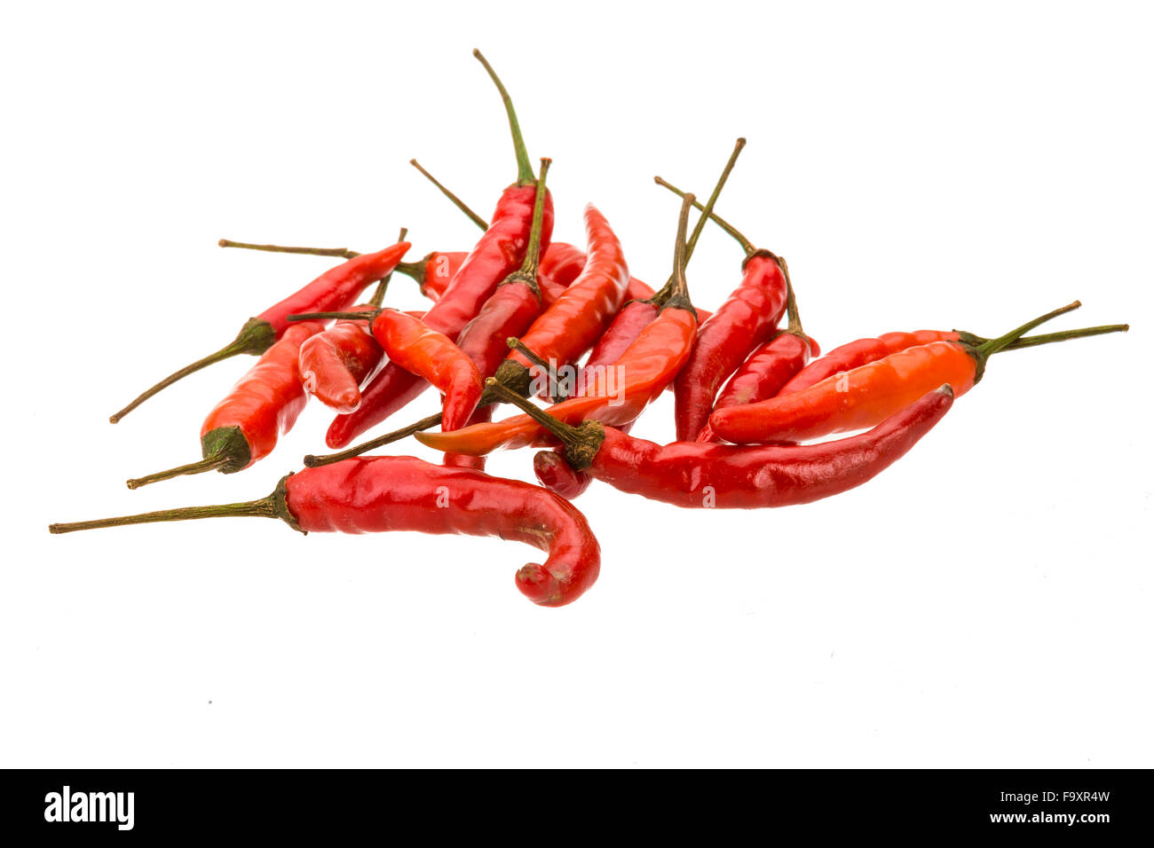 Bird eating chilli pepper hi-res stock photography and images - Alamy