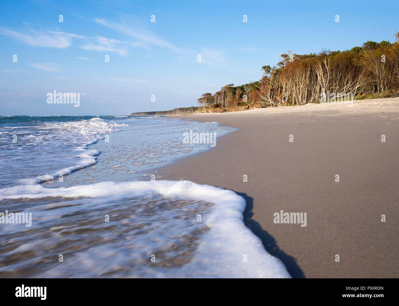 Germany, Mecklenburg-Western Pomerania, Baltic Sea beach in Born auf ...