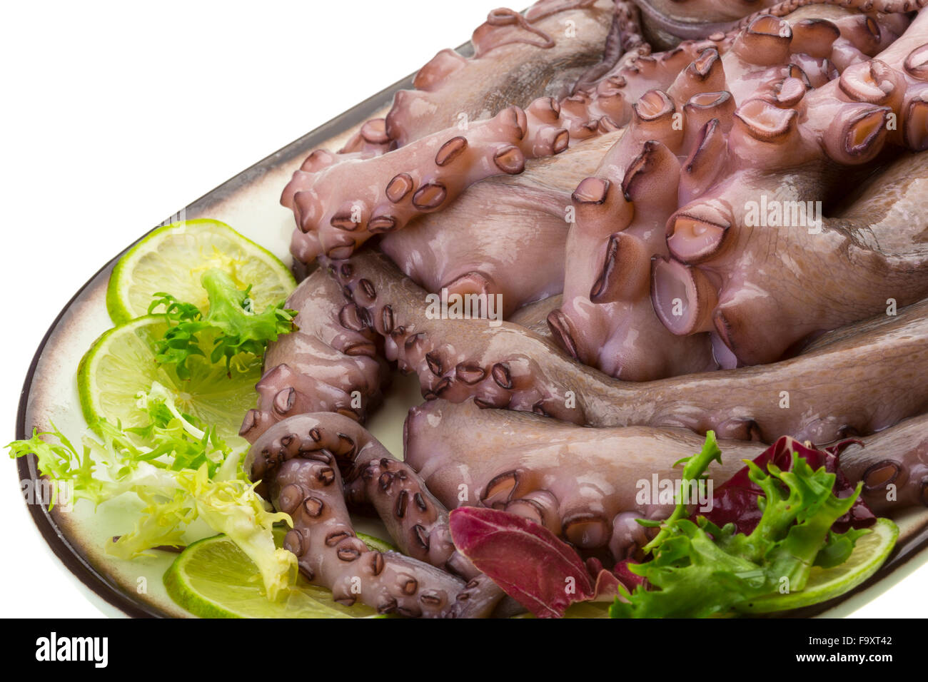 Raw large octopus Stock Photo - Alamy