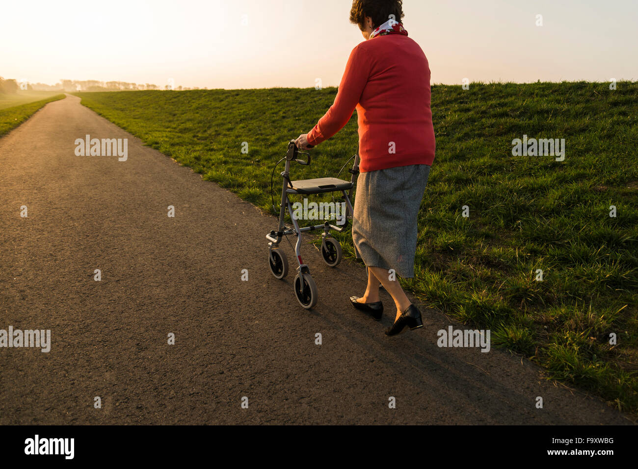Senior woman walking with wheeled walker on a path Stock Photo - Alamy