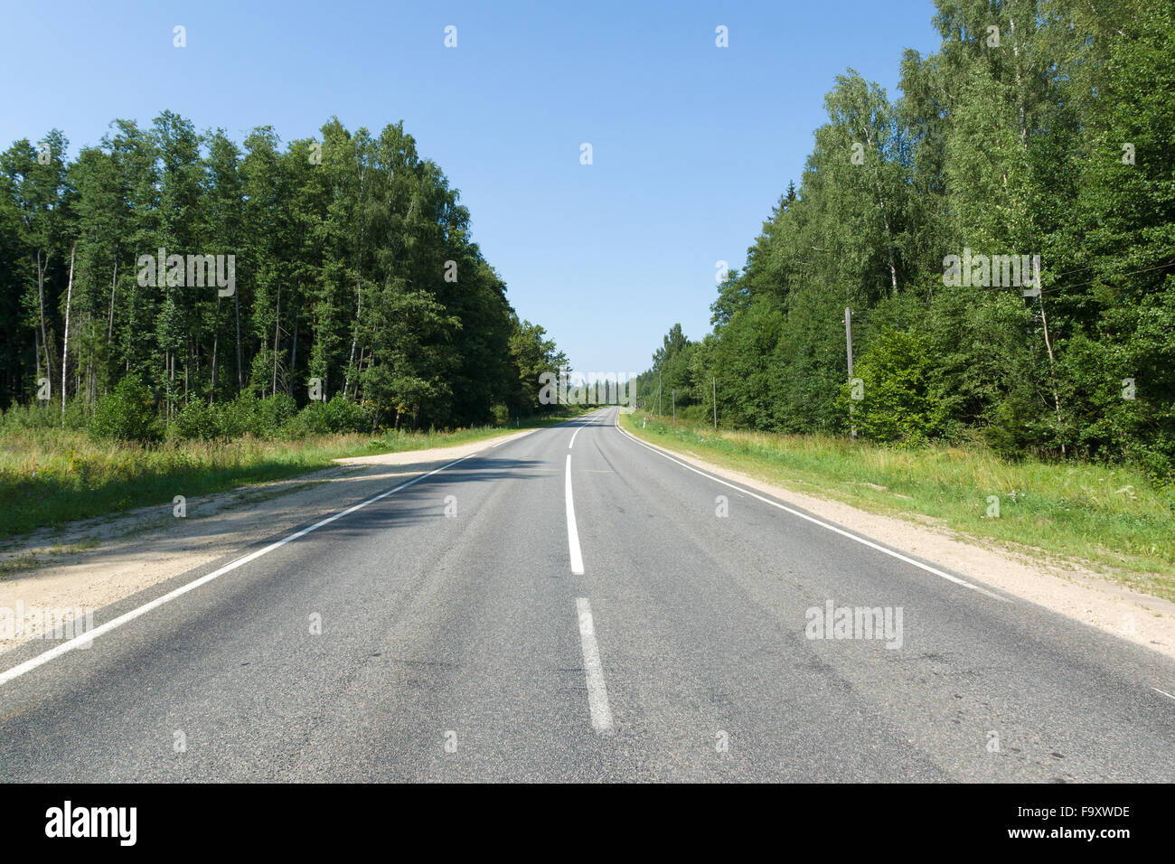 the asphalt road with a separating band lies among the wood Stock Photo ...
