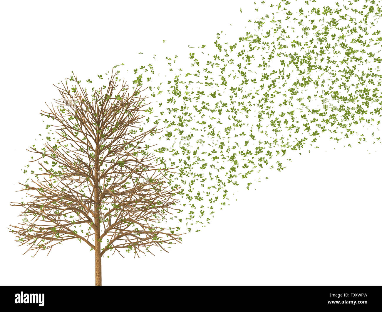 Falling leaves motion hi-res stock photography and images - Alamy