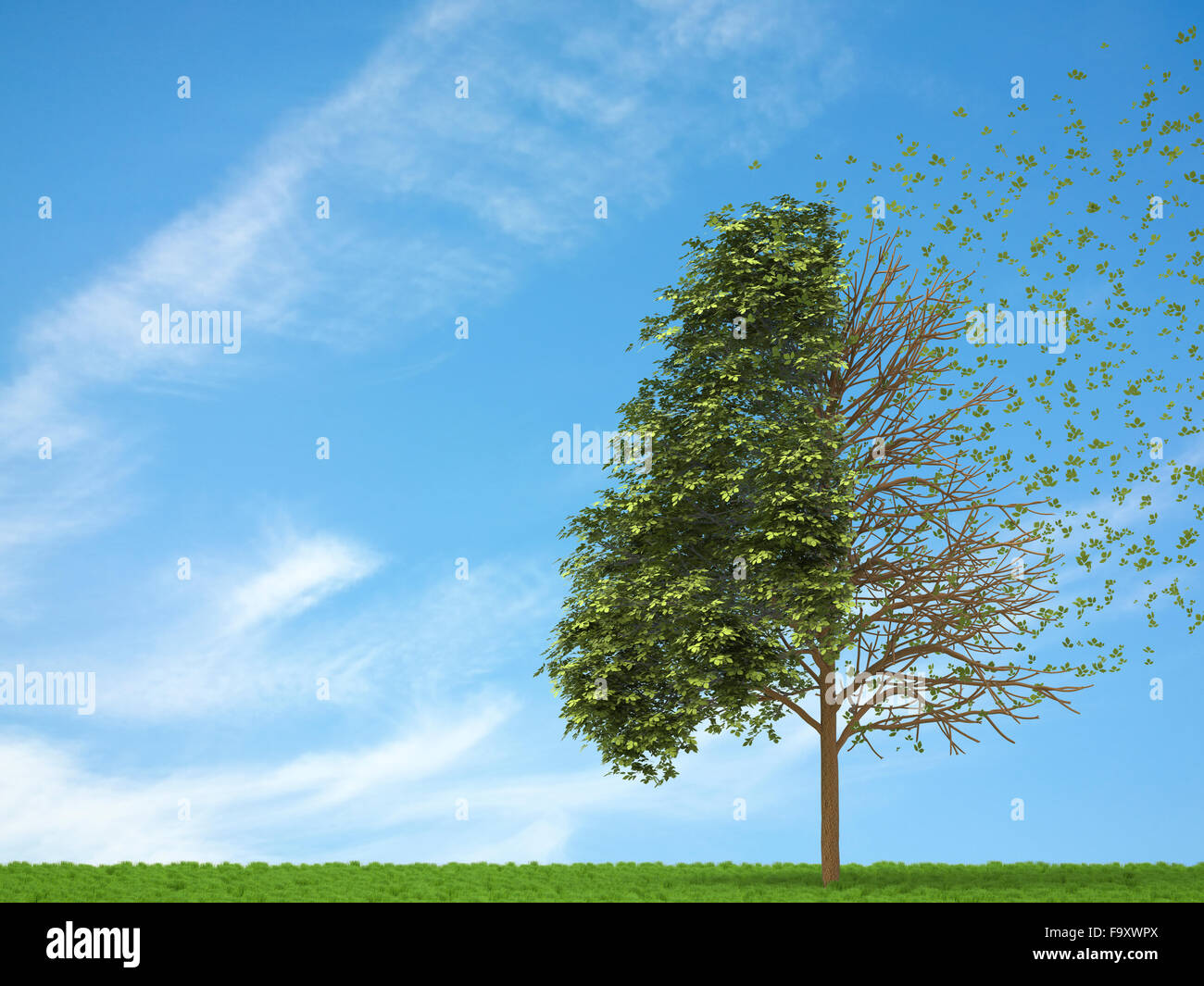 Falling leaves motion hi-res stock photography and images - Alamy