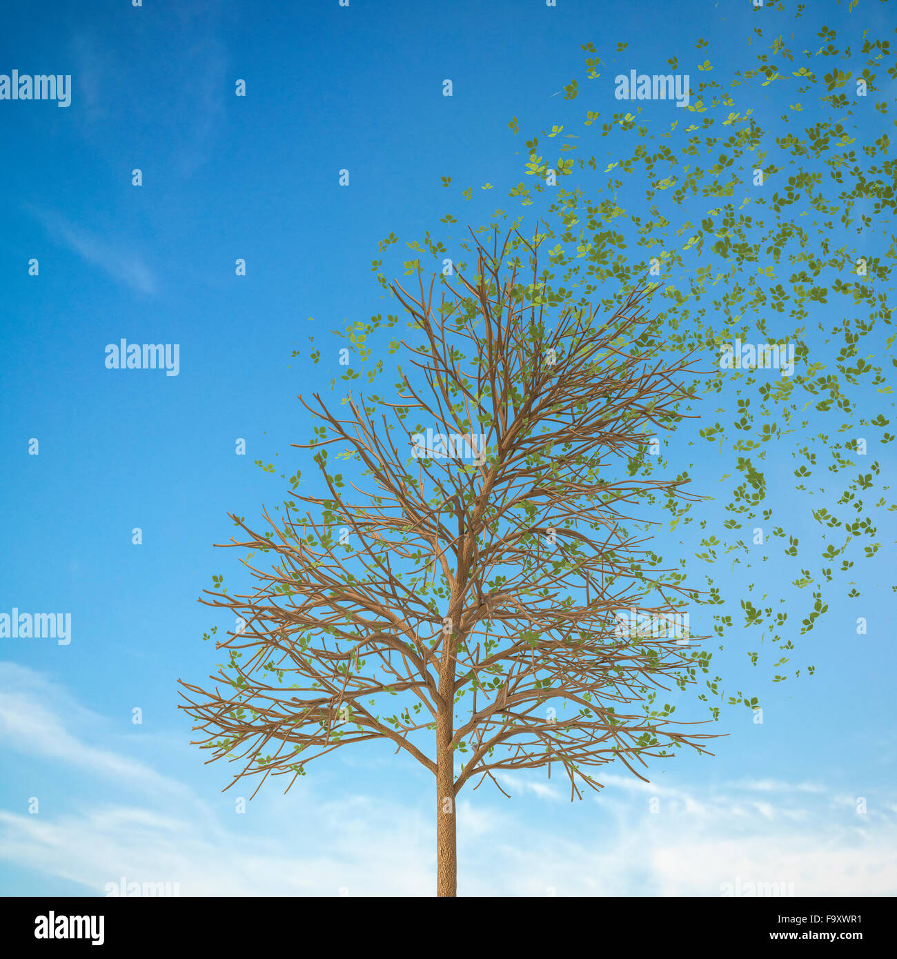 Falling leaves motion hi-res stock photography and images - Alamy