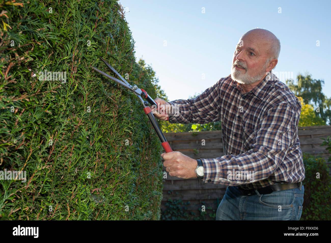 Pruning beard hi-res stock photography and images - Alamy