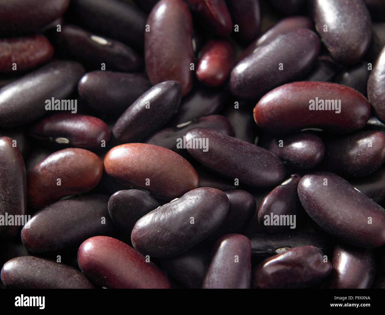 Kidney structure hi-res stock photography and images - Alamy