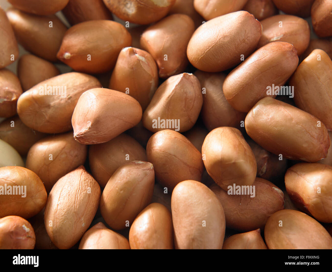 Peanut kernel white abstract background Stock Photo - Alamy