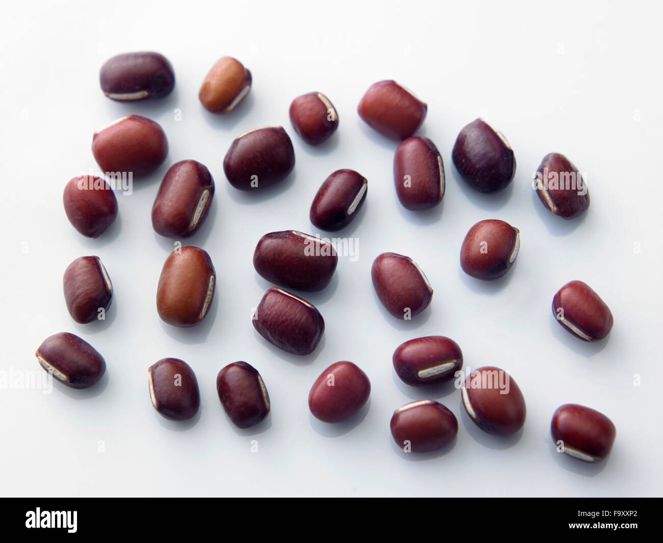 close up of the azuki beans Stock Photo - Alamy