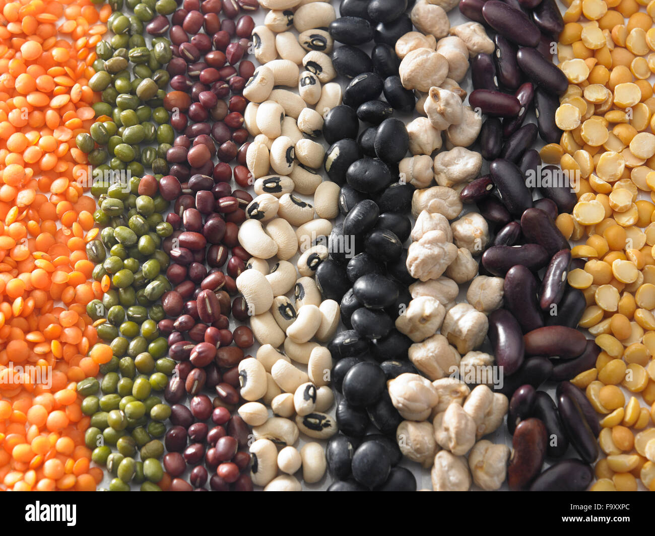 various type of beans on the white background Stock Photo - Alamy