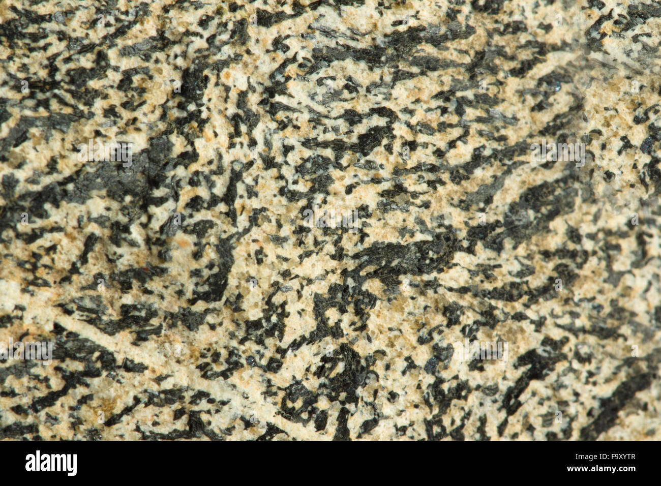 large texture of a big stone for a background Stock Photo - Alamy