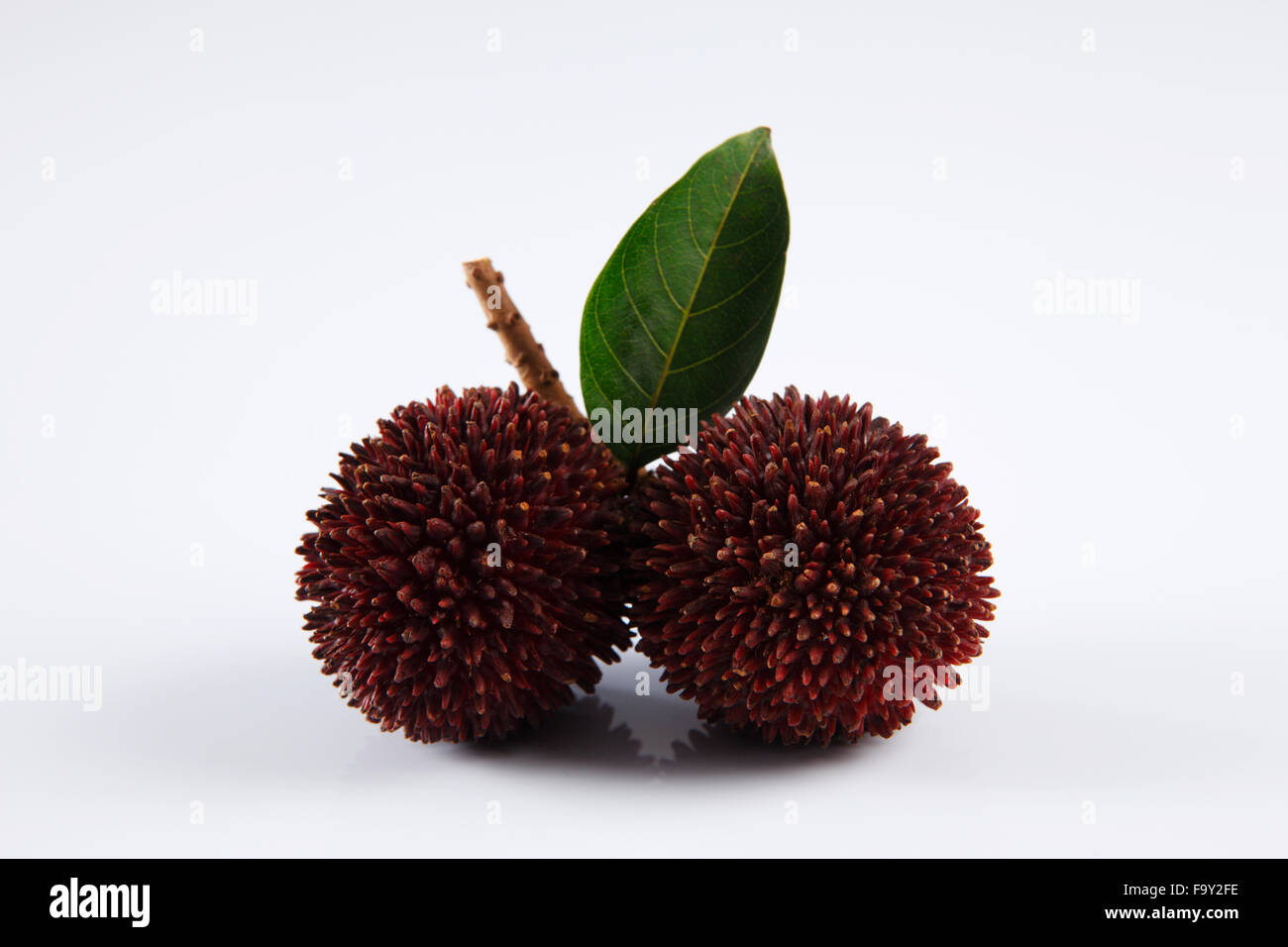 pulasan thick skin or wild rambutan on the white background Stock Photo ...
