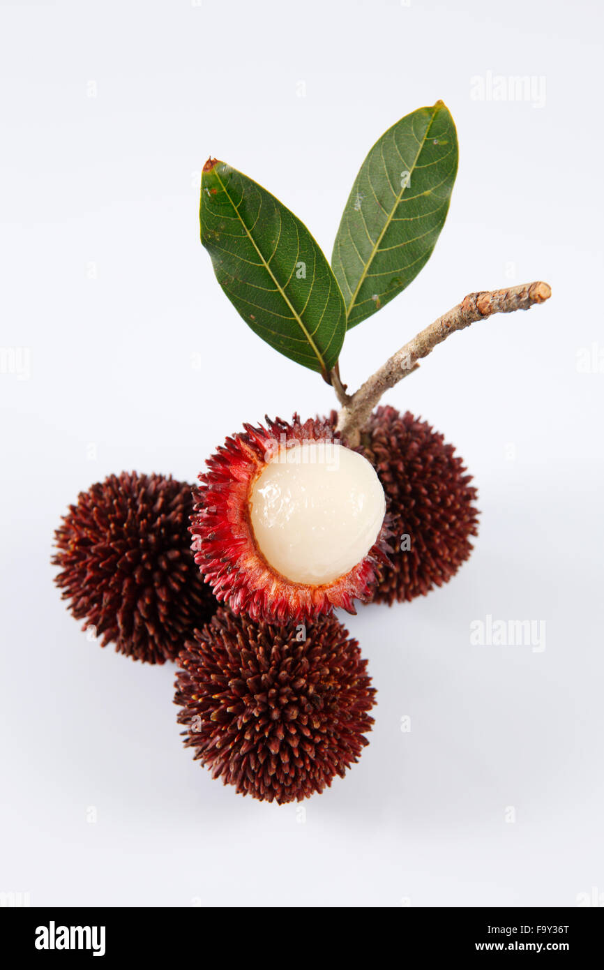 pulasan thick skin or wild rambutan on the white background Stock Photo ...