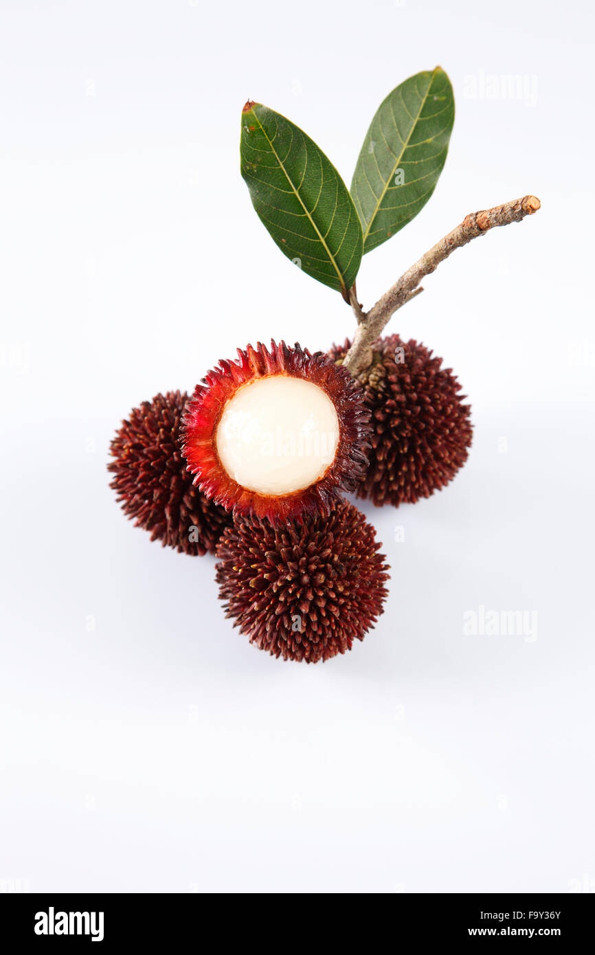 pulasan thick skin or wild rambutan on the white background Stock Photo ...