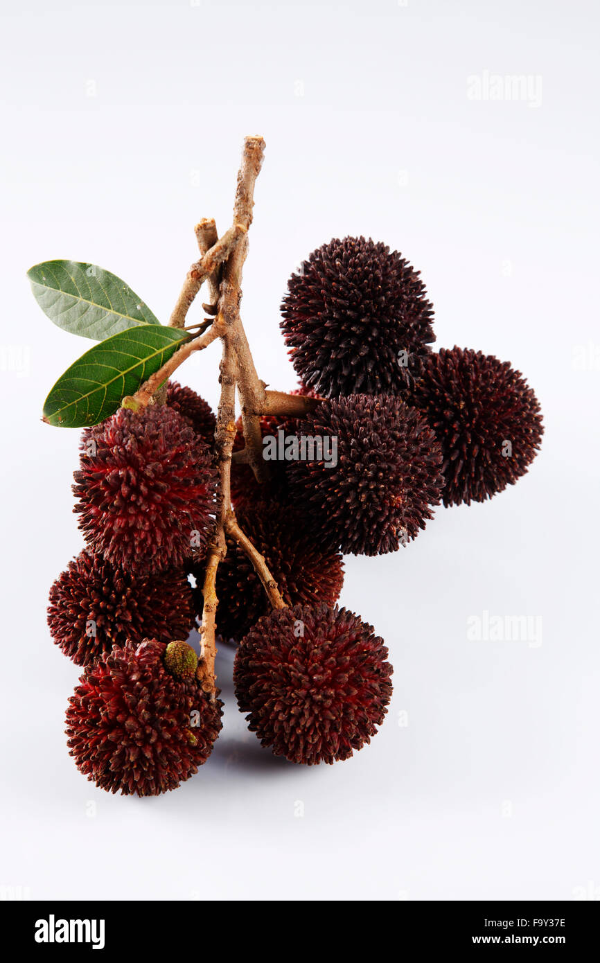 pulasan thick skin or wild rambutan on the white background Stock Photo ...