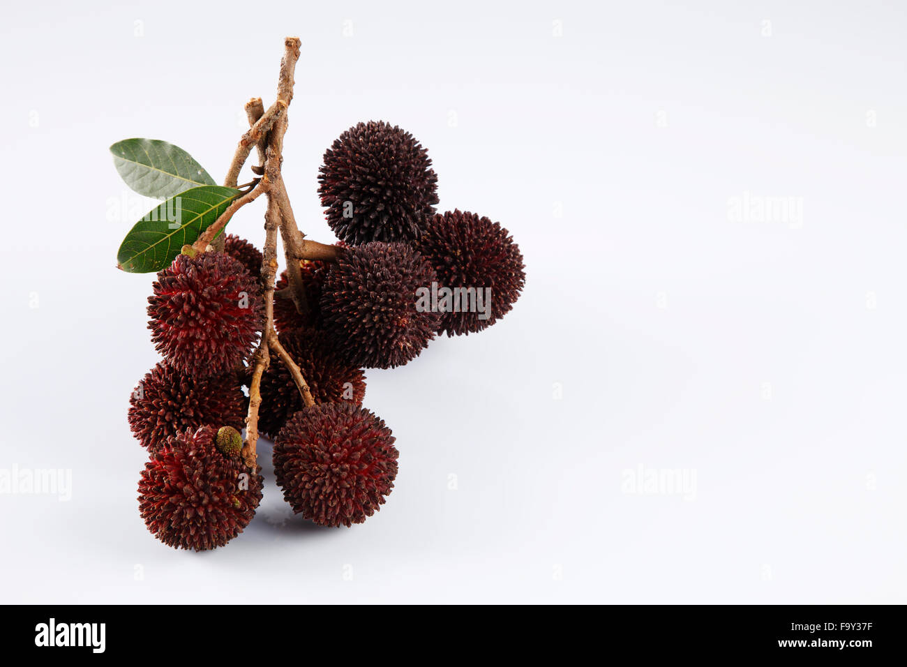pulasan thick skin or wild rambutan on the white background Stock Photo ...