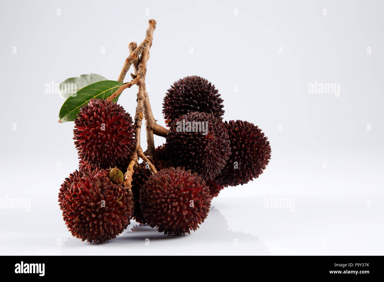 pulasan thick skin or wild rambutan on the white background Stock Photo ...