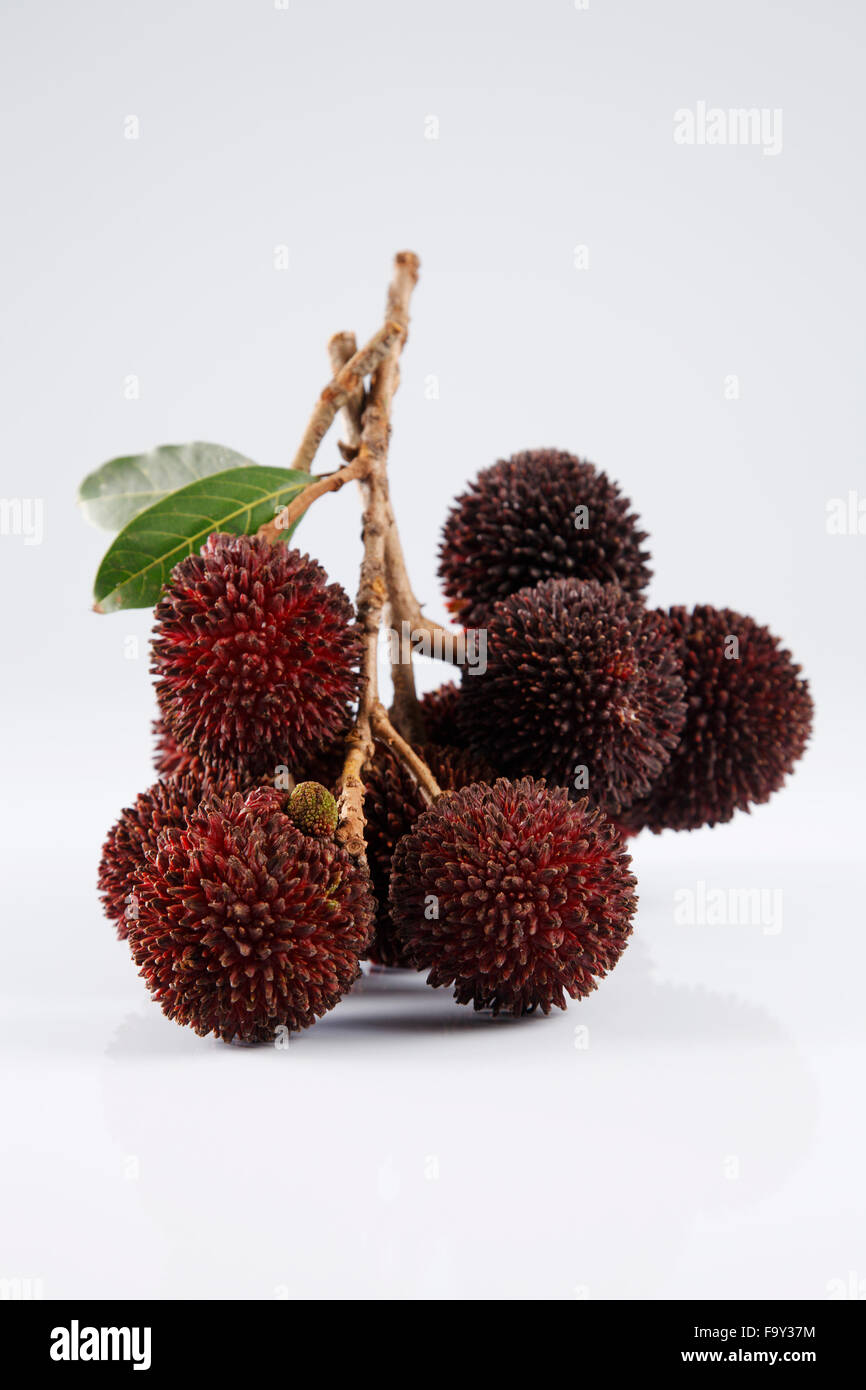 pulasan thick skin or wild rambutan on the white background Stock Photo ...