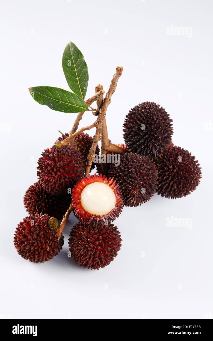 pulasan thick skin or wild rambutan on the white background Stock Photo ...