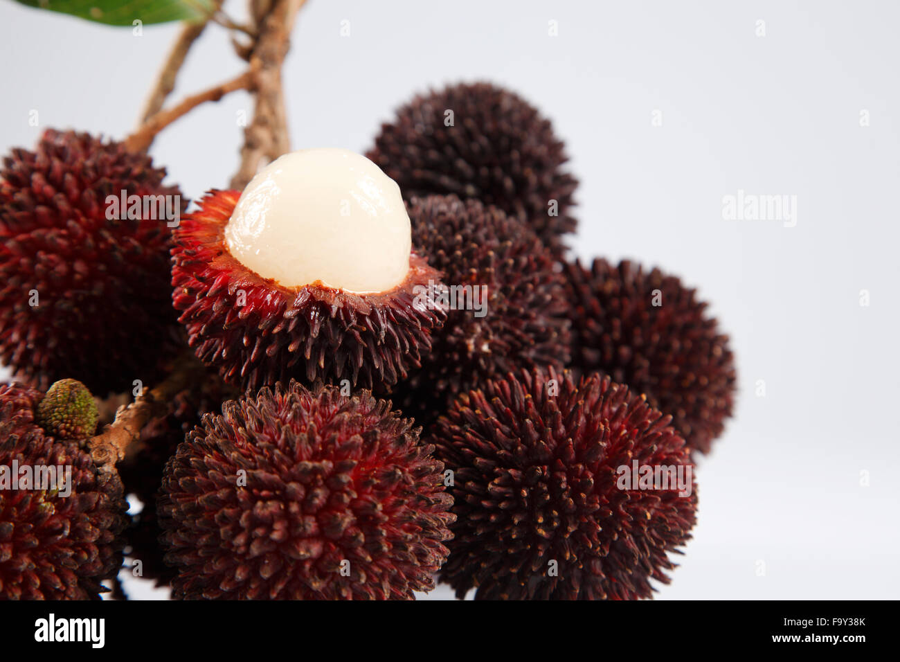 pulasan thick skin or wild rambutan on the white background Stock Photo ...