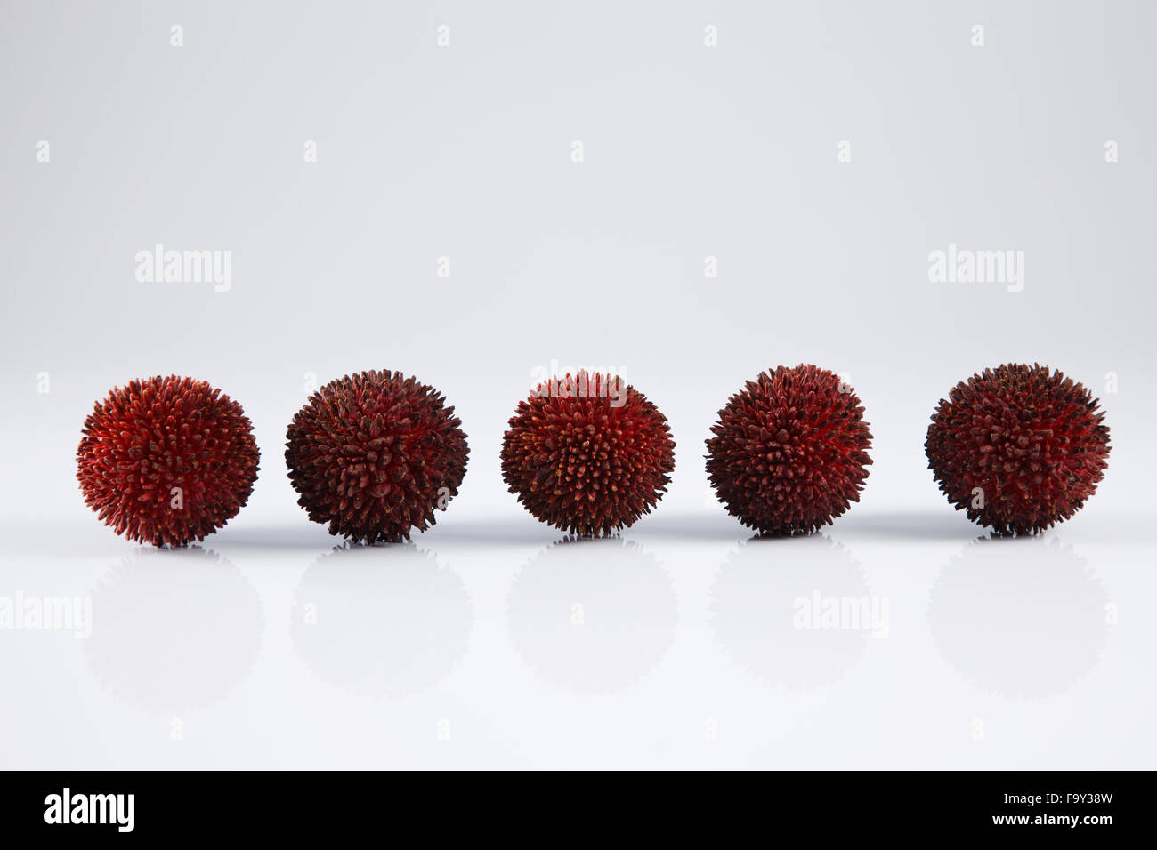 pulasan thick skin or wild rambutan on the white background Stock Photo ...