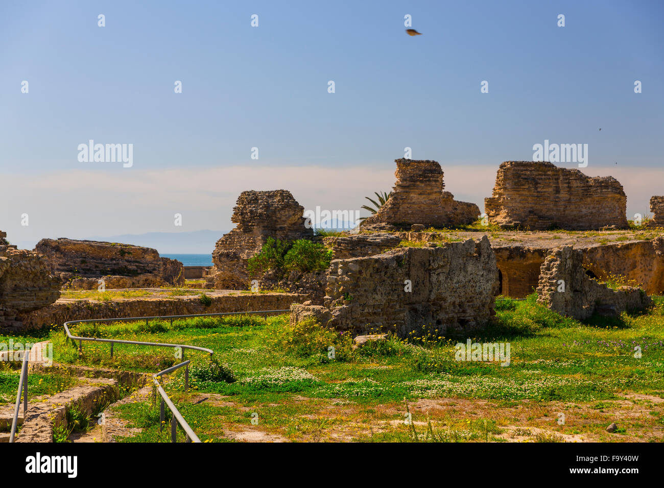 Old Carthage ruins in Tunisia Stock Photo - Alamy