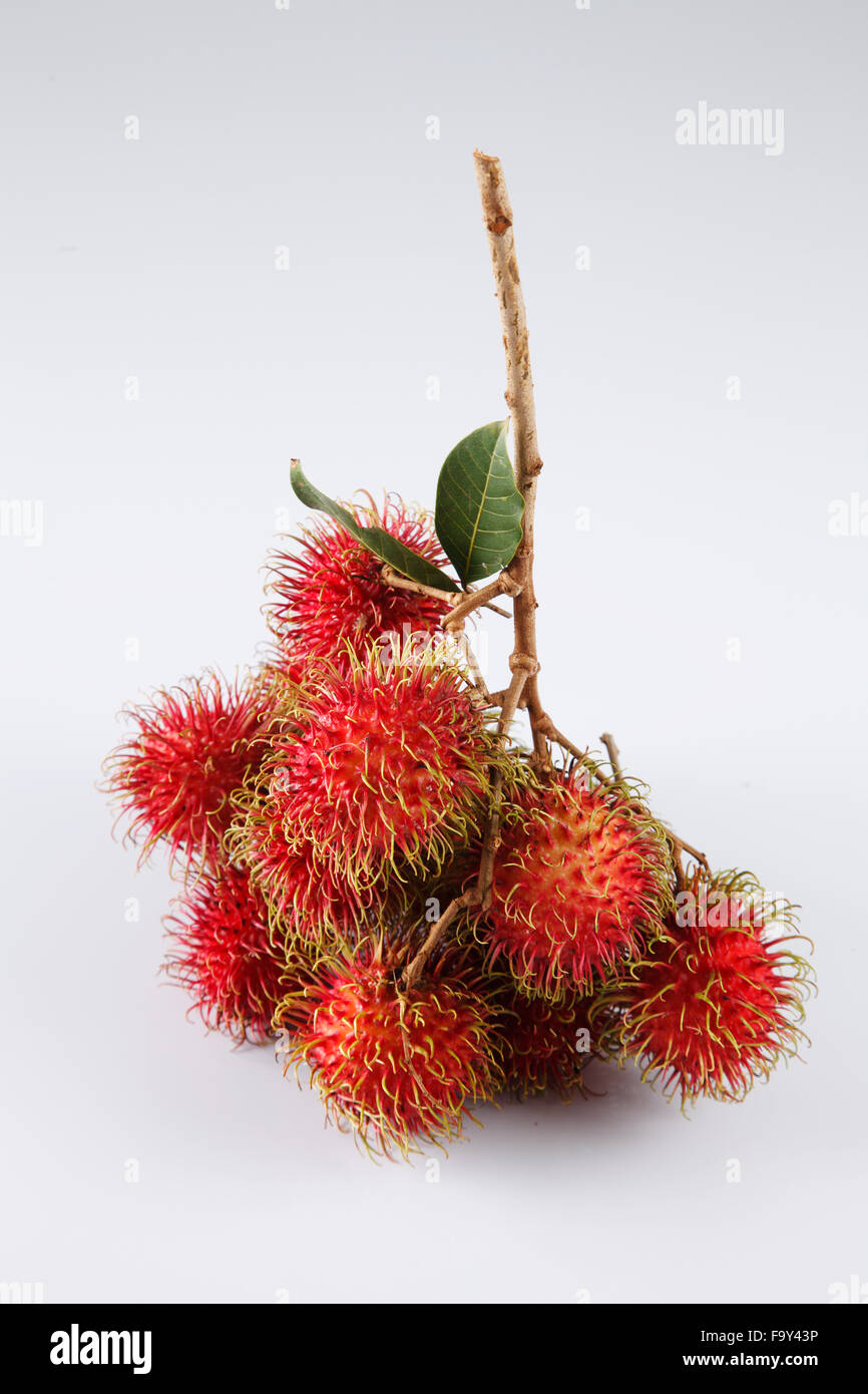 asian fruit rambutan on the plain background Stock Photo - Alamy