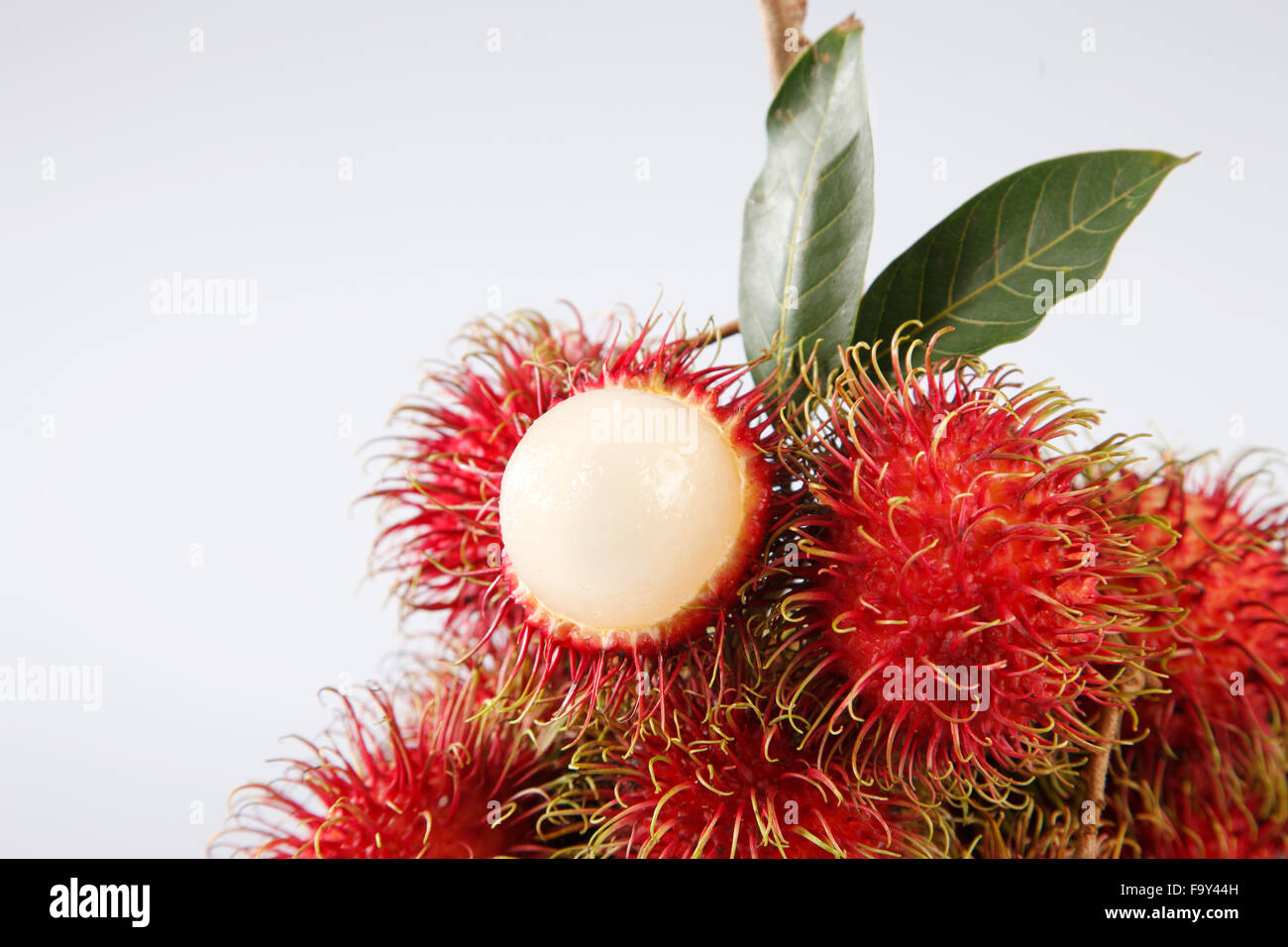 asian fruit rambutan on the plain background Stock Photo - Alamy