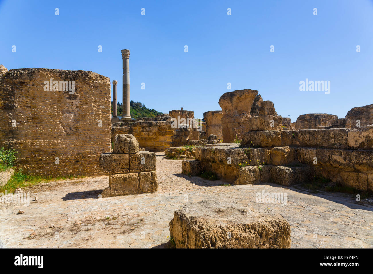 Old Carthage ruins in Tunisia Stock Photo - Alamy
