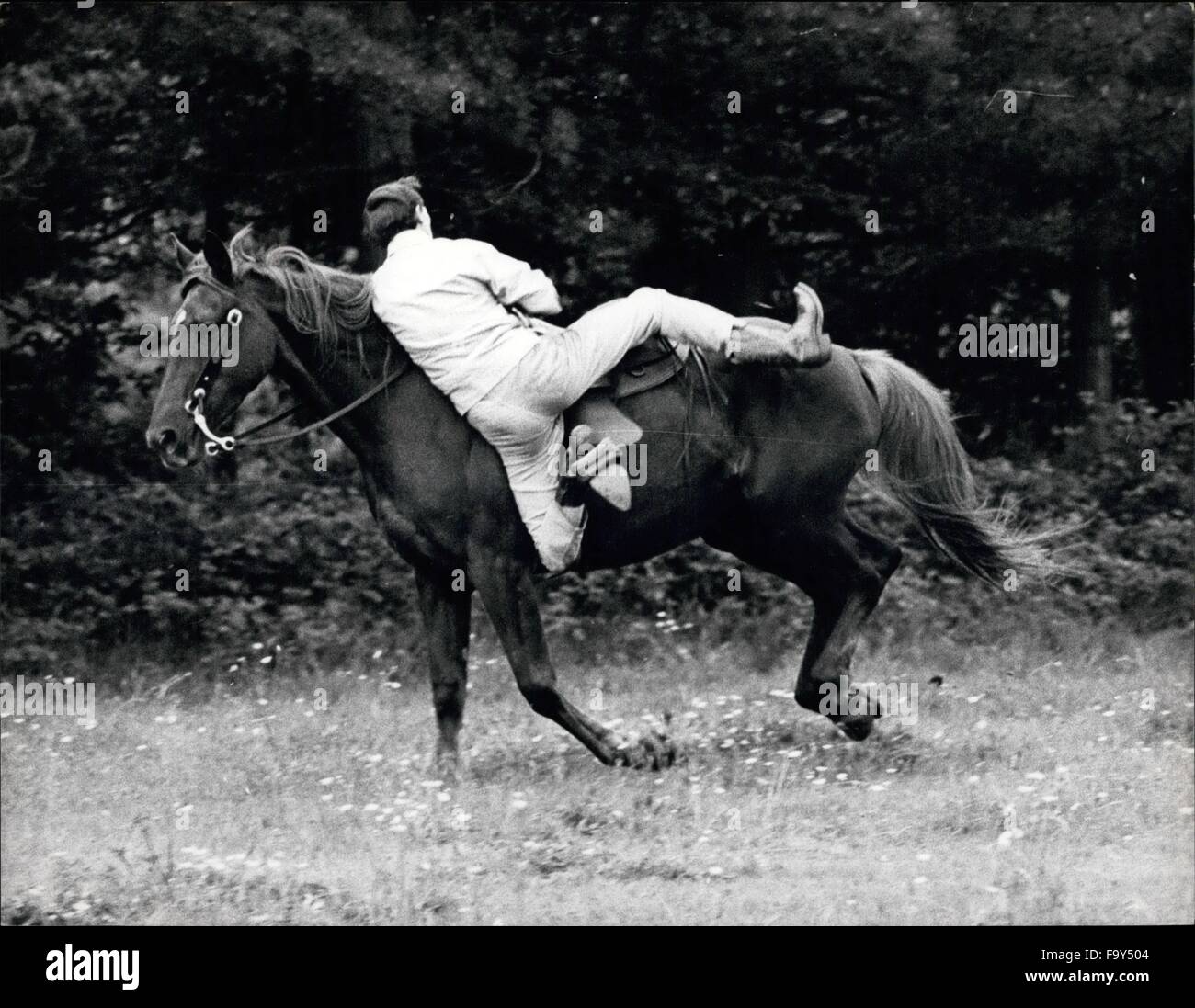 1968 - A demonstration of genuine cowboy-style riding at the Remuda ...