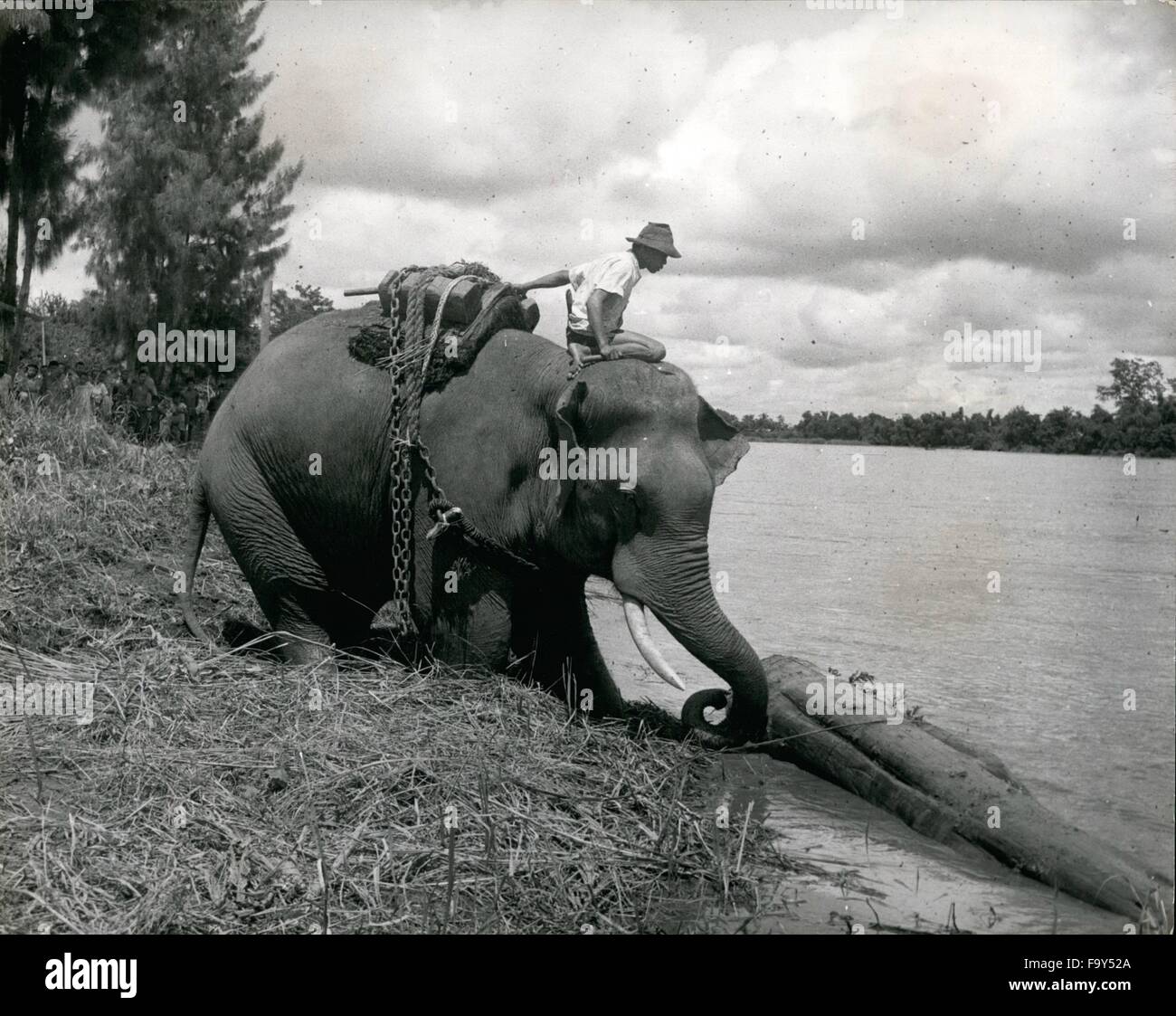1958 - ''Jumbo'' is still superior to the tractor in the Siamese teak ...