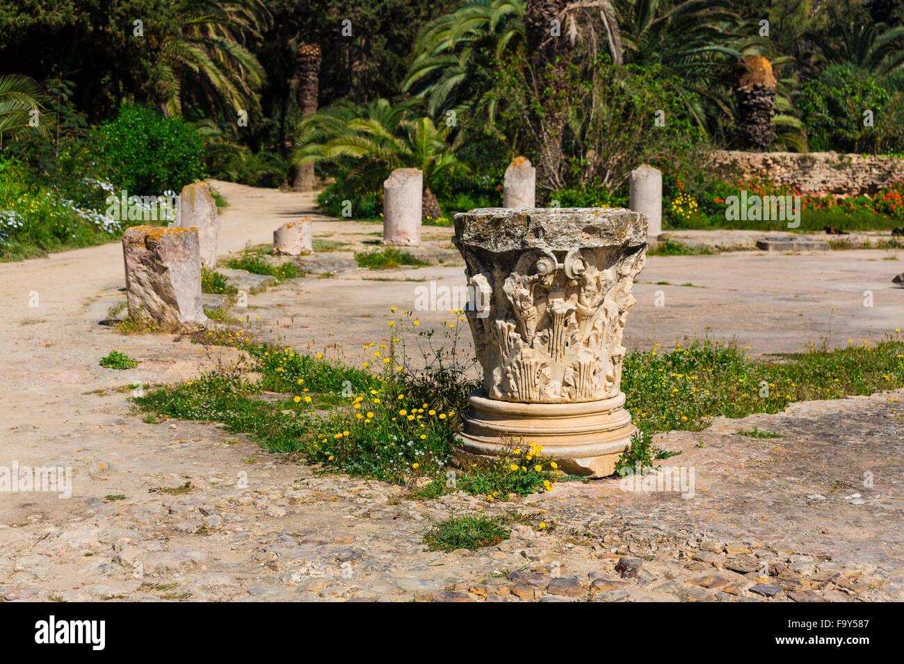 Old Carthage ruins in Tunisia Stock Photo - Alamy