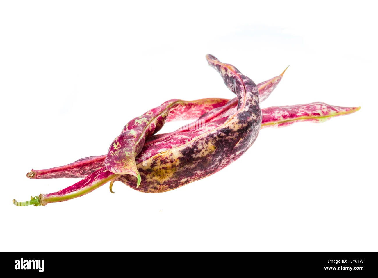 Red bean pod Stock Photo - Alamy