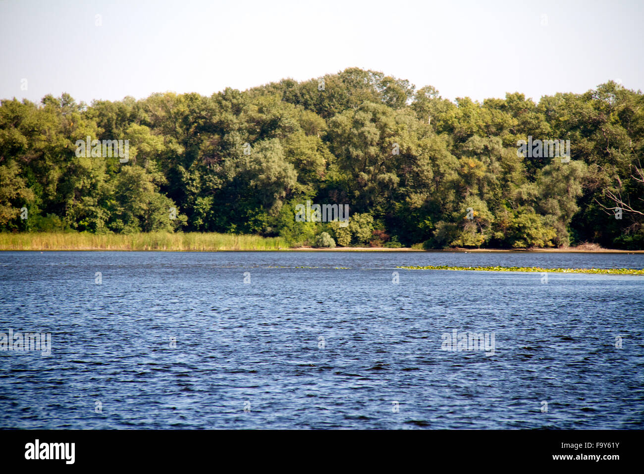 Dnipro river coast in Ukraine Stock Photo - Alamy