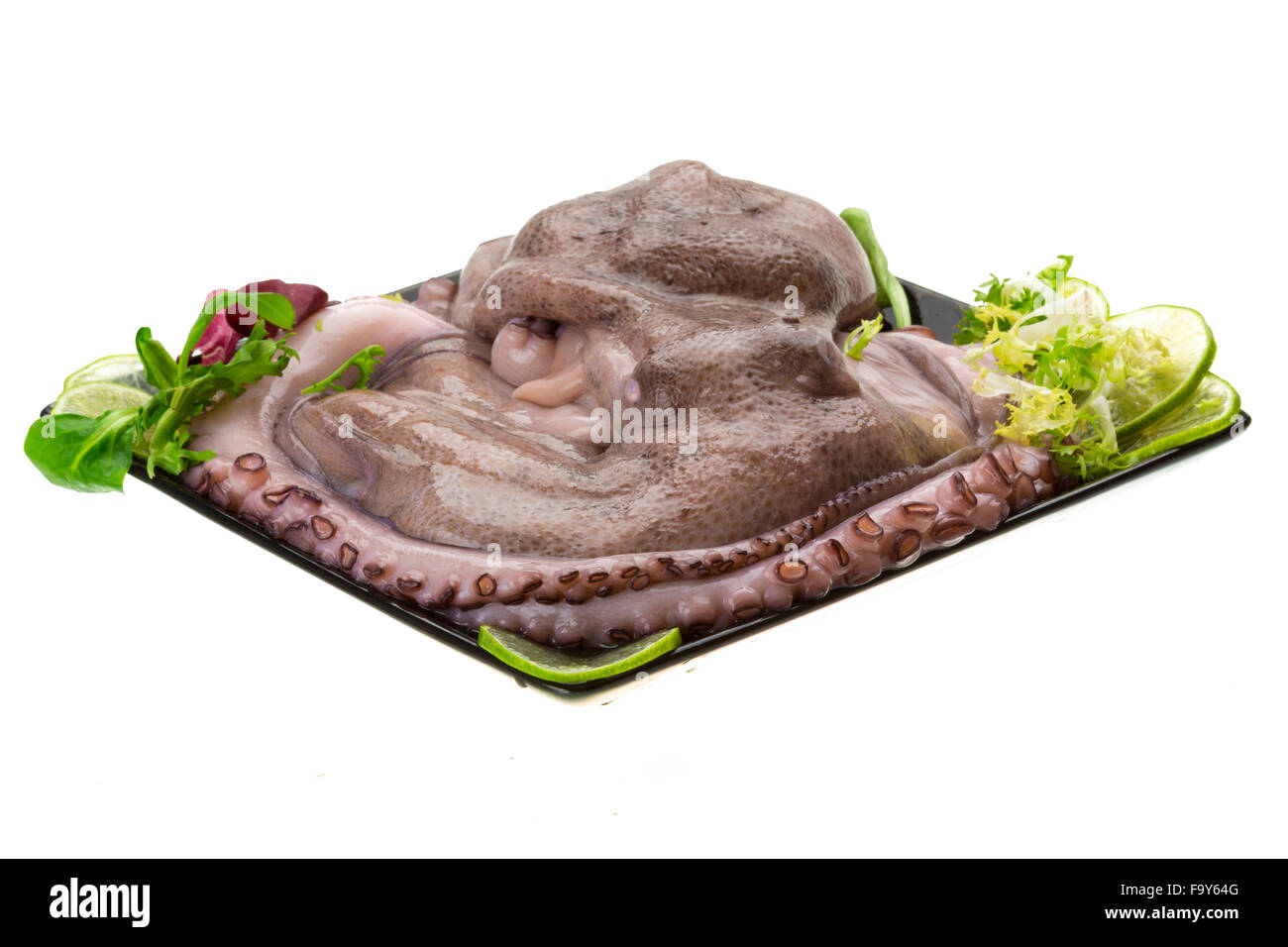 Raw large octopus Stock Photo - Alamy