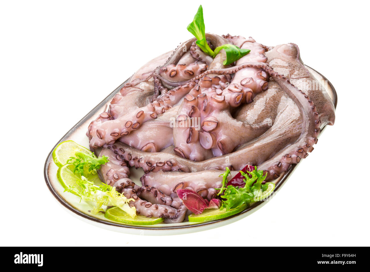 Raw large octopus Stock Photo - Alamy