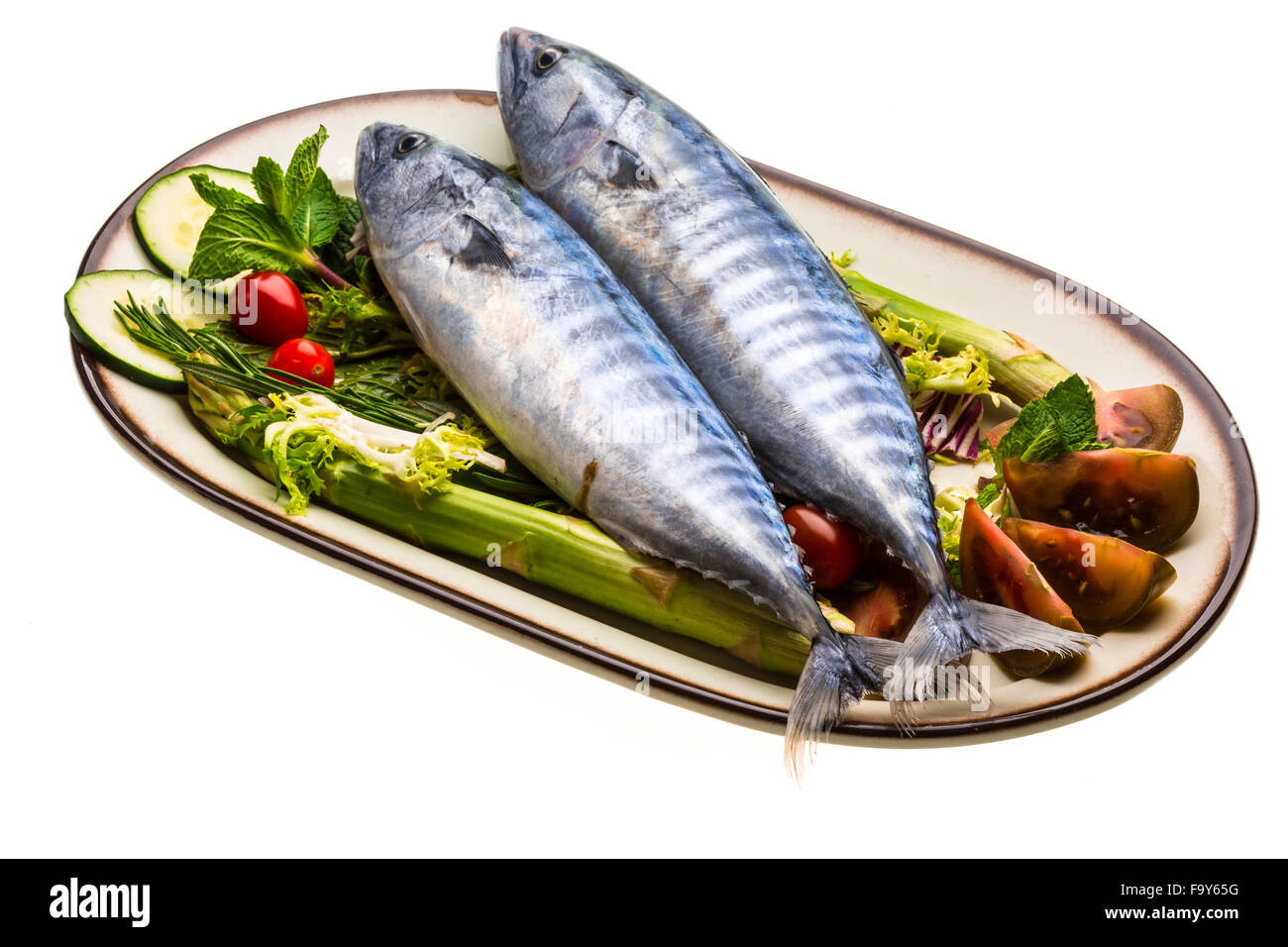 Atlanticmackerel hi-res stock photography and images - Alamy