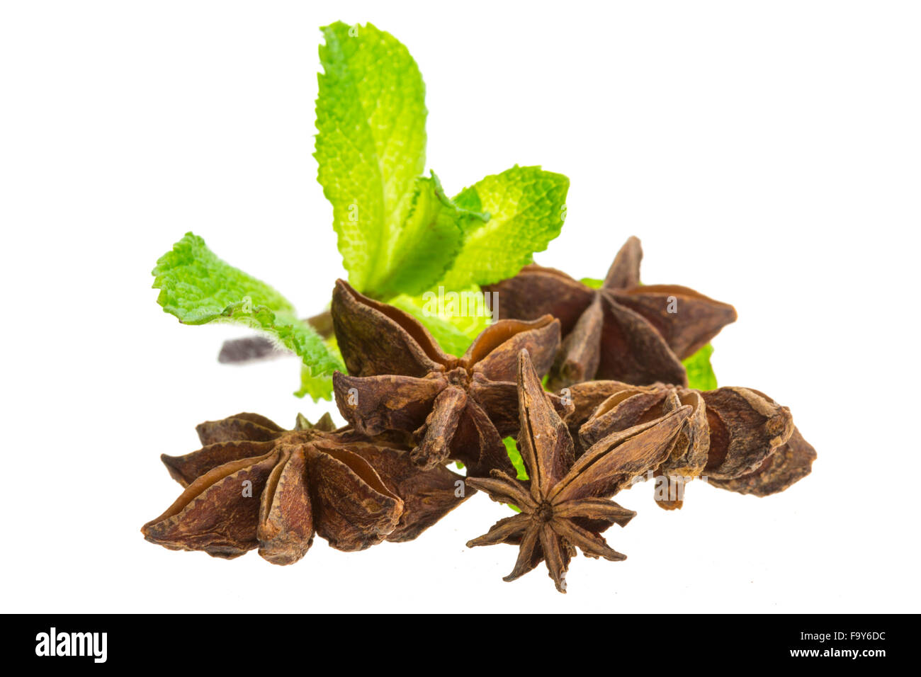 Star Anise and Mint isolated Stock Photo - Alamy