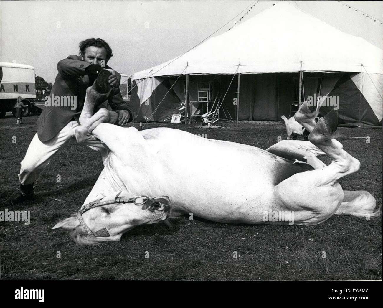 1972 - A Horse with ''Elastic'' legs; The biggest attraction of the ...