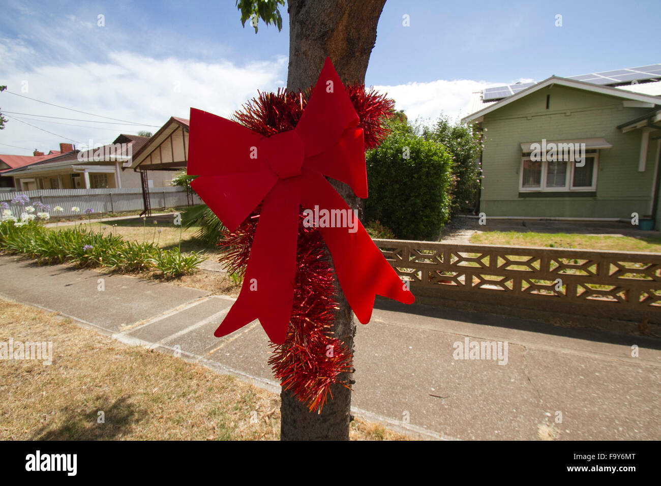 Adelaide street trees hi-res stock photography and images - Alamy