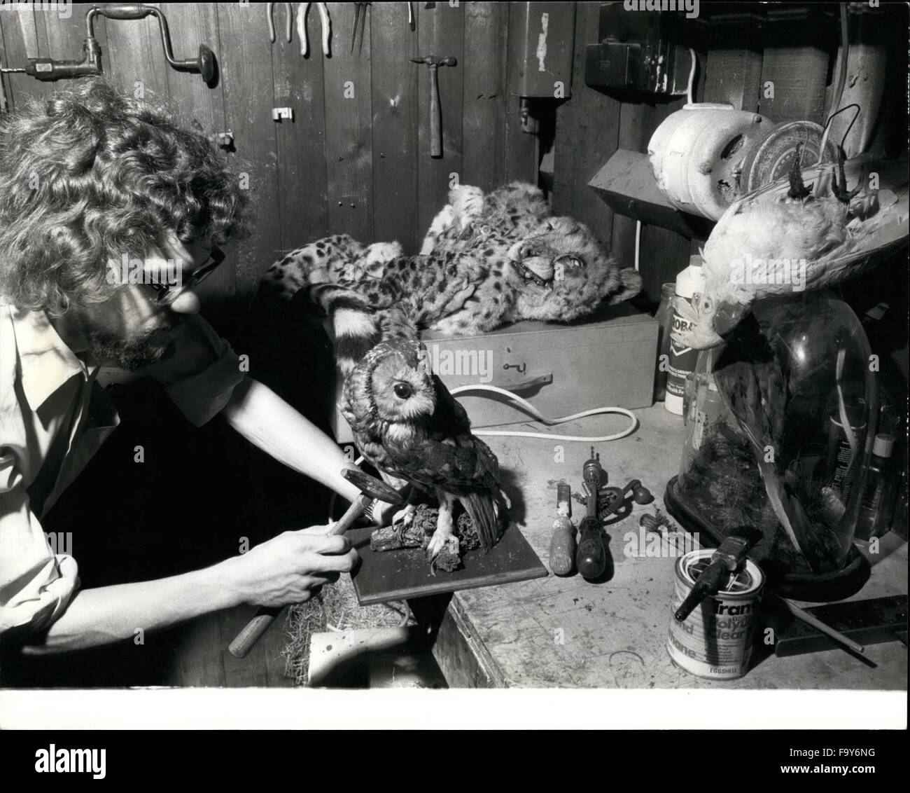 1962 jungle lurke beneath islington hi-res stock photography and images ...