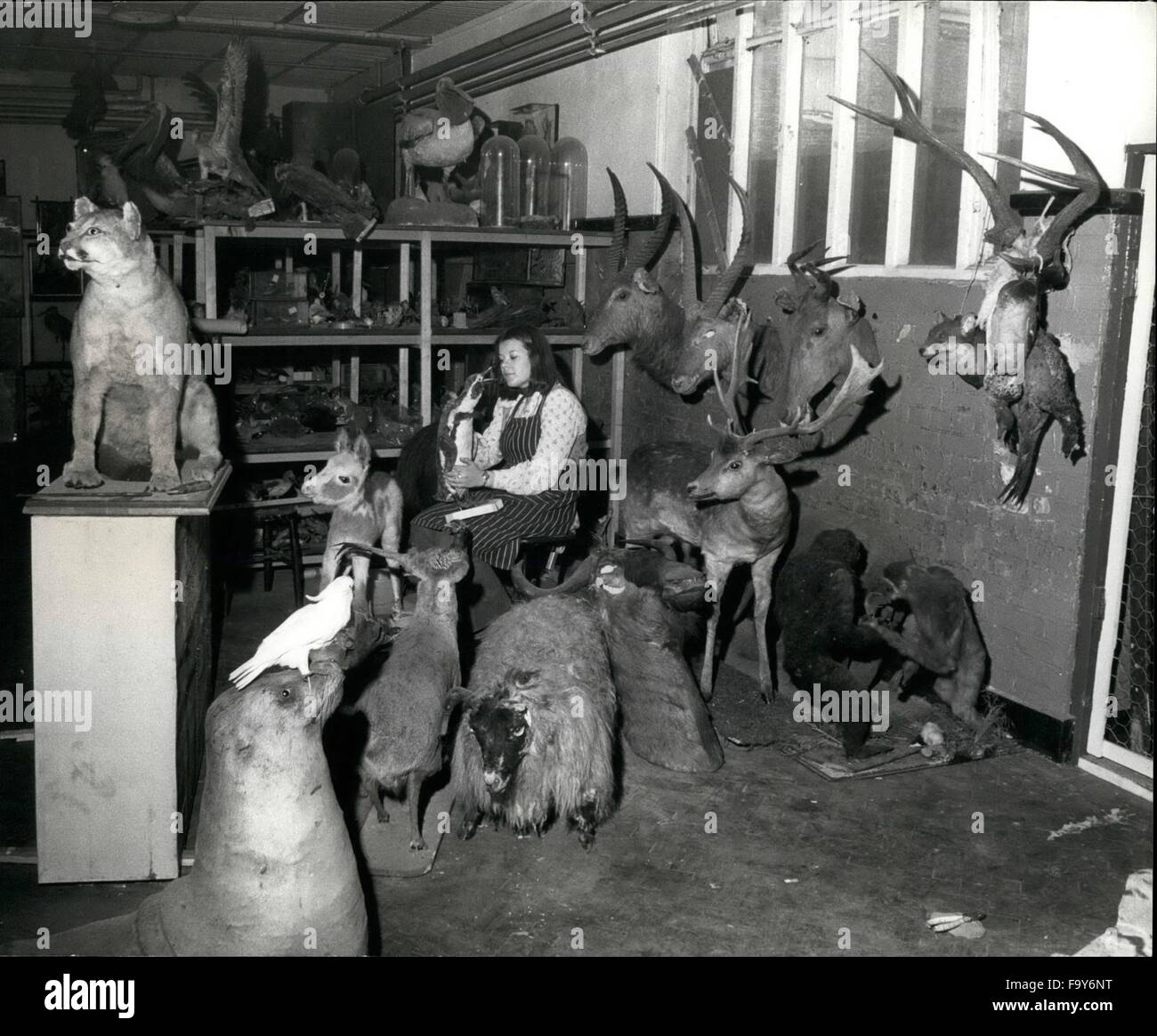 Old wise mouse hi-res stock photography and images - Alamy