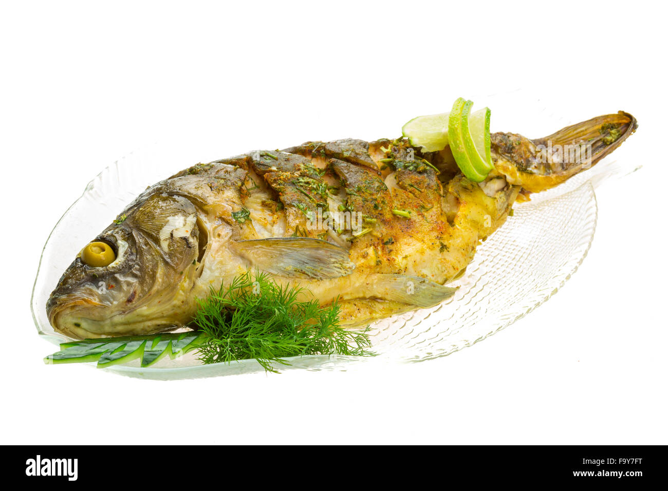 Fat carp Cut Out Stock Images & Pictures - Alamy